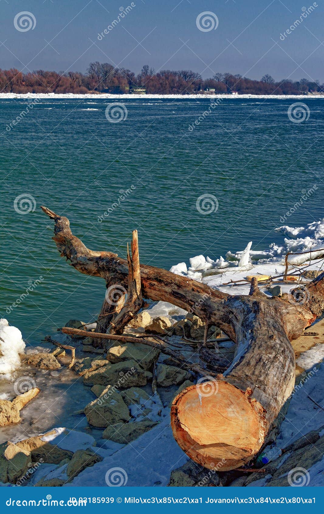 Log by the river stock image. Image of stone, blue, rocks - 93185939