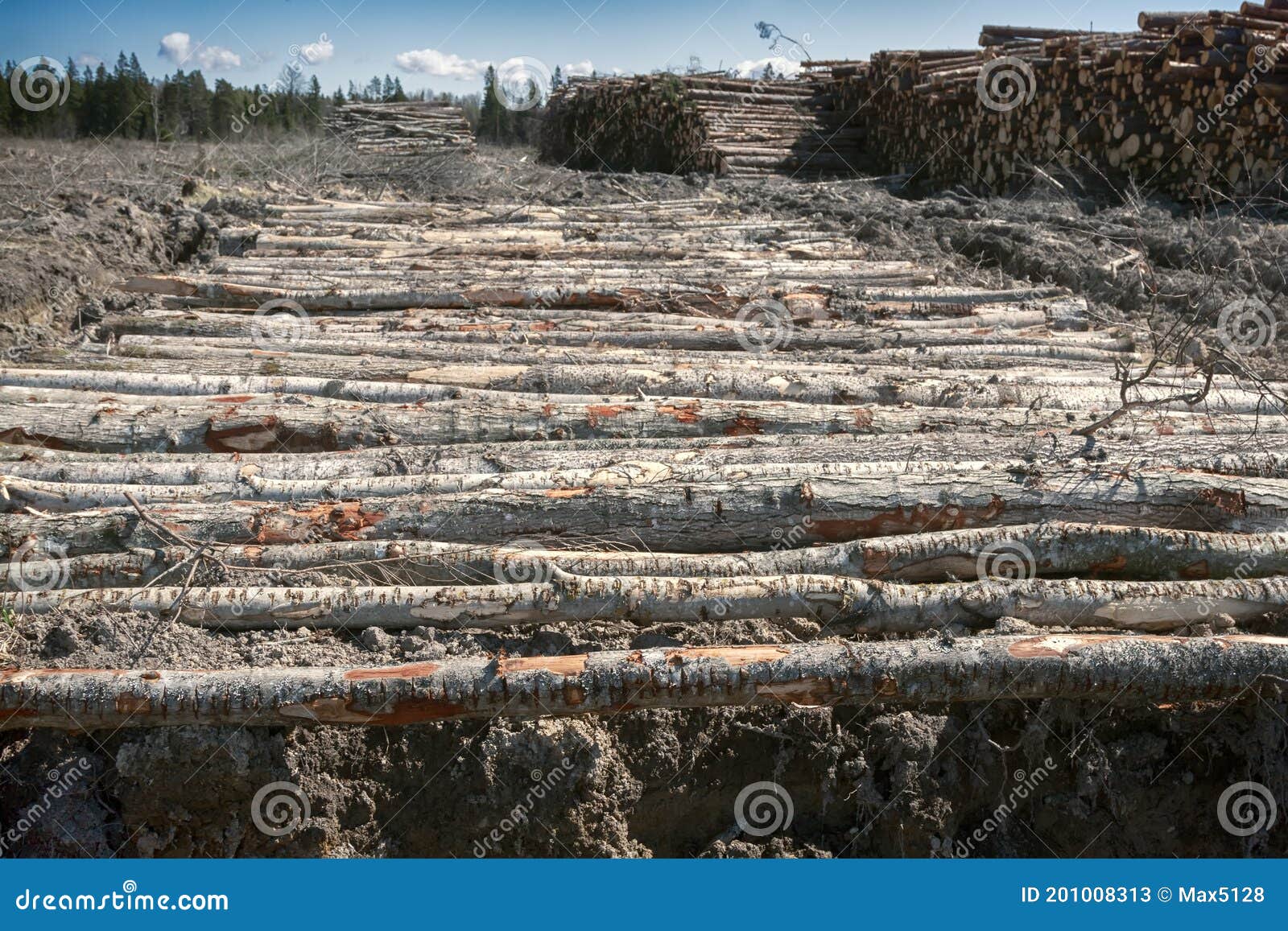 Log road (plank road stock image. Image of thousands - 201008313