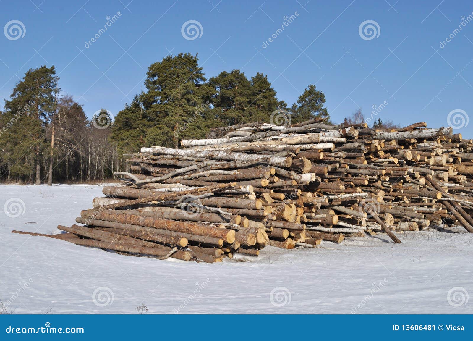 Log S Stack at Forest Edge in Winter Stock Image - Image of kolchugino ...