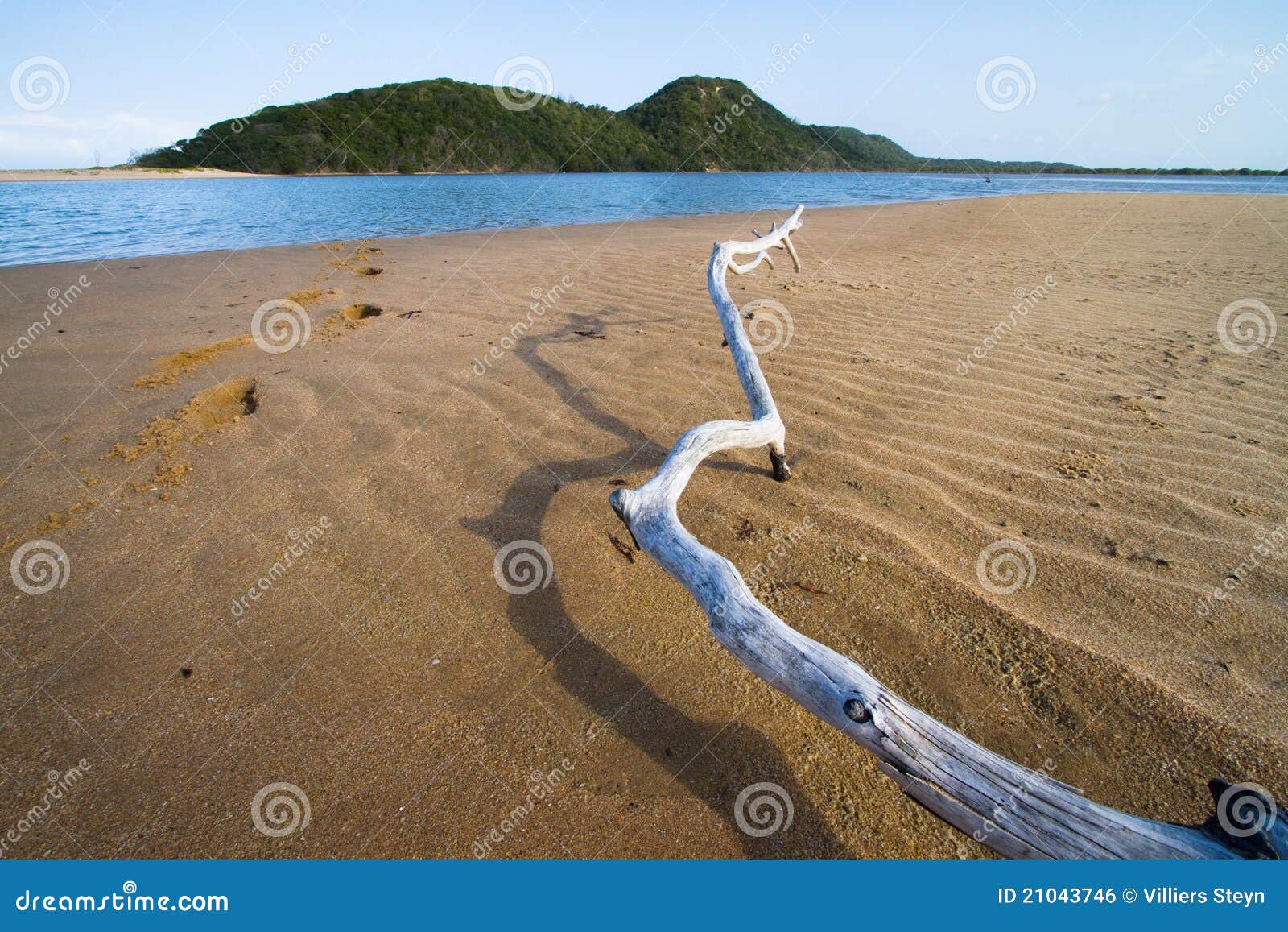 Log on the sand stock photo. Image of coastline, africa - 21043746