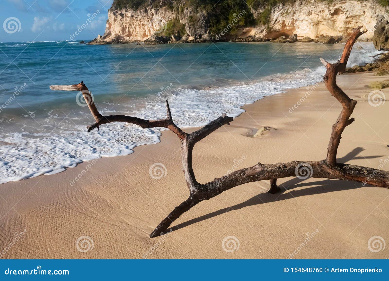 Log on Sand Beach. Sandy Beach Log View. Log Beach Scene Stock Photo ...