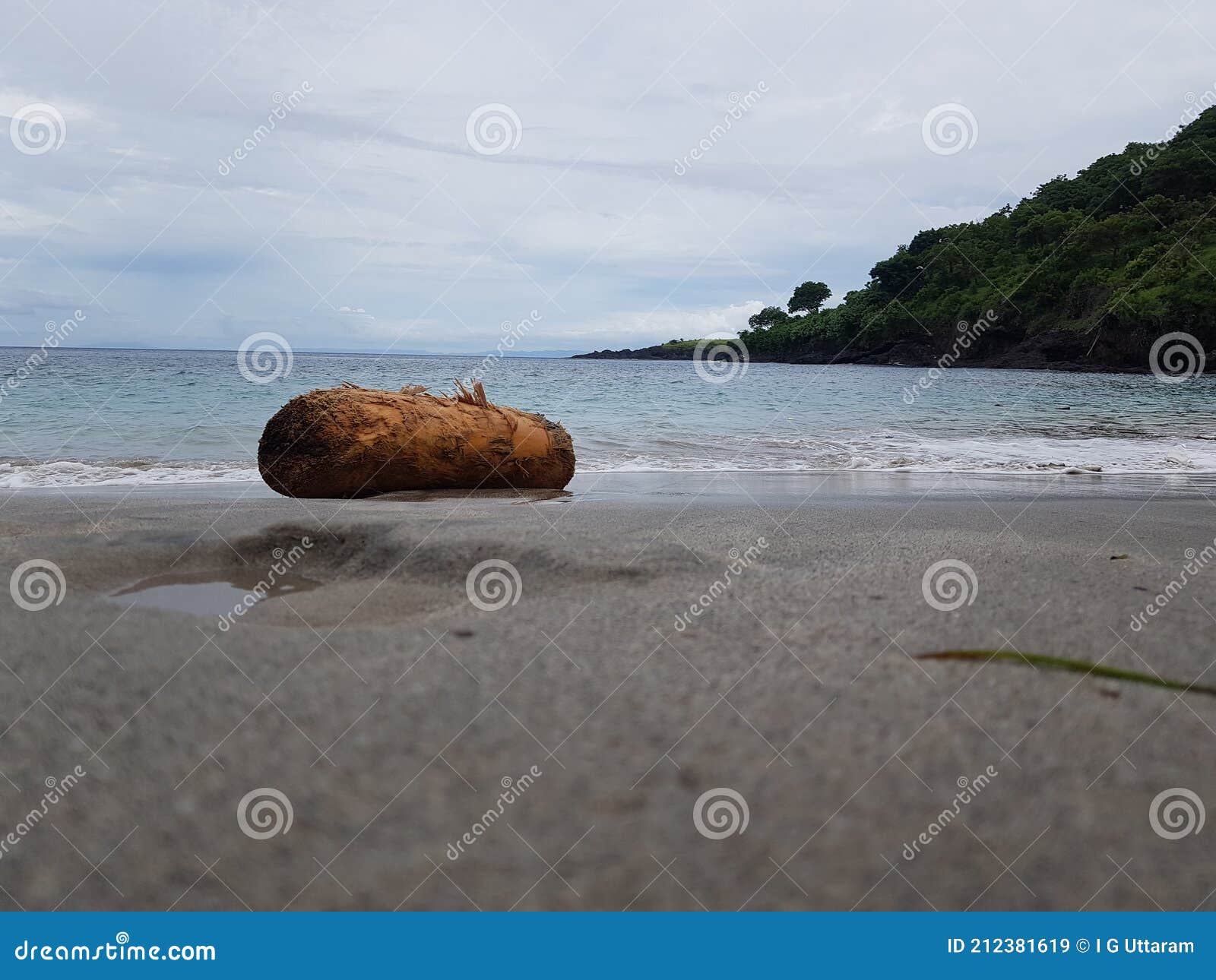 Log from sea stock image. Image of shore, cloud, ocean - 212381619