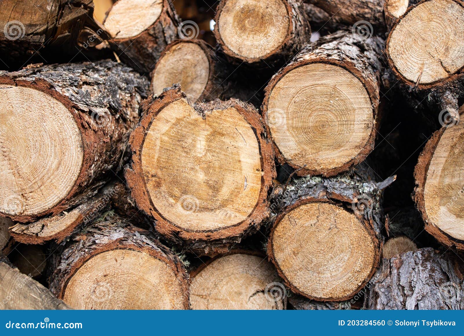 Log stock photo. Image of pile, timber, lumber, nature - 203284560