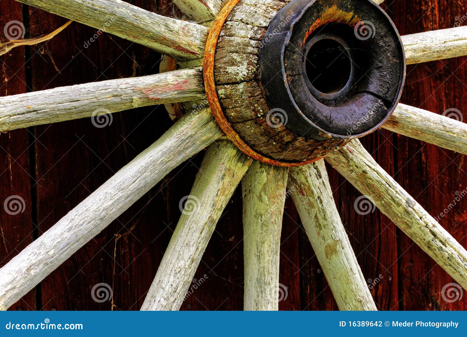 Log shack stock photo. Image of broken, nature, farmhouse - 16389642