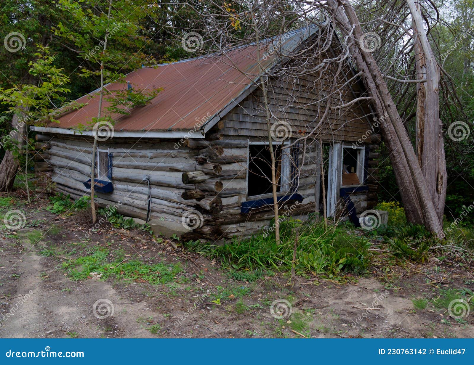 Log shack in woods stock photo. Image of deteriorating - 230763142