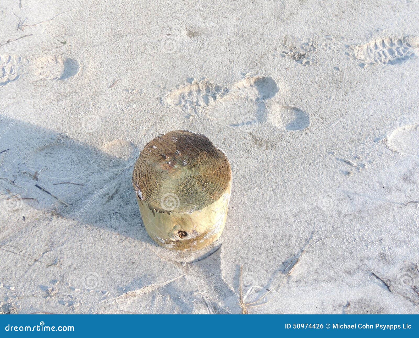 Log stock photo. Image of scene, beach, sand, shadow - 50974426