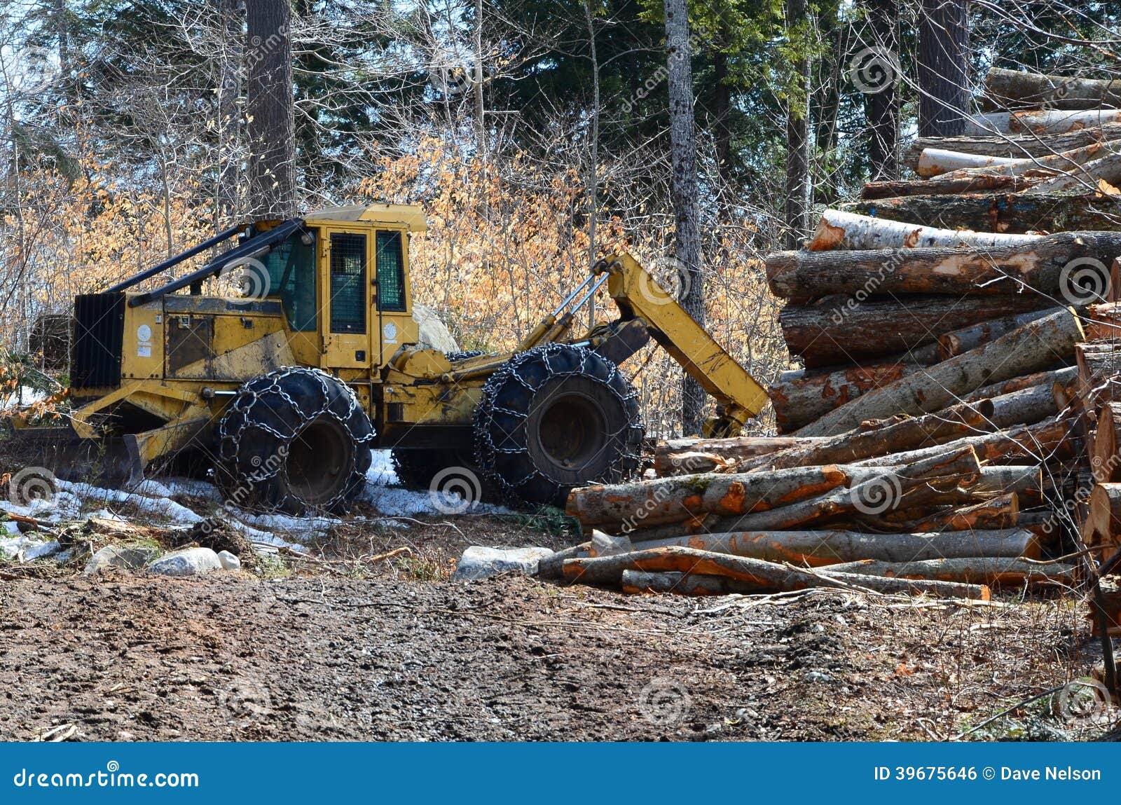 Logging skidder and logs stock photo. Image of forest - 39675646