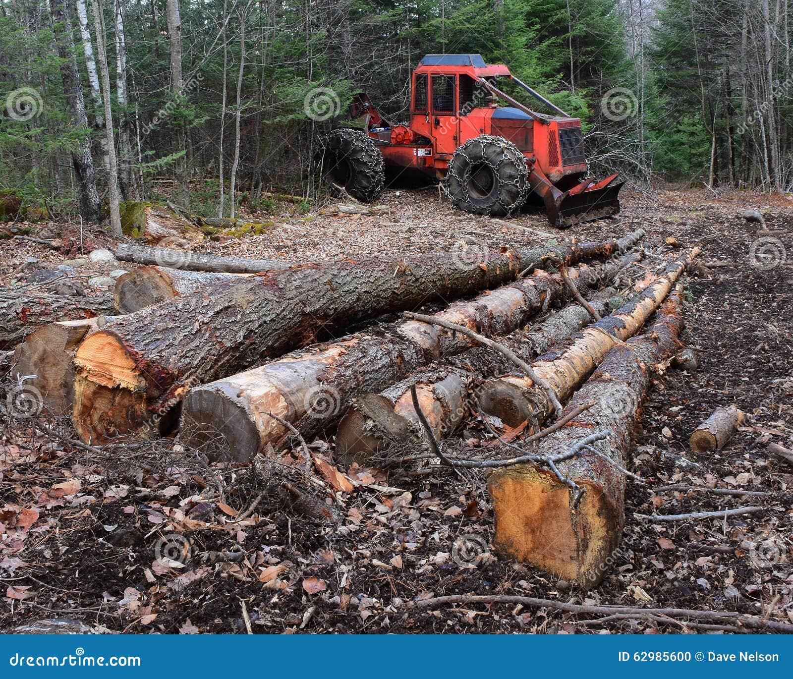 Log skidder and logs stock photo. Image of machinery - 62985600