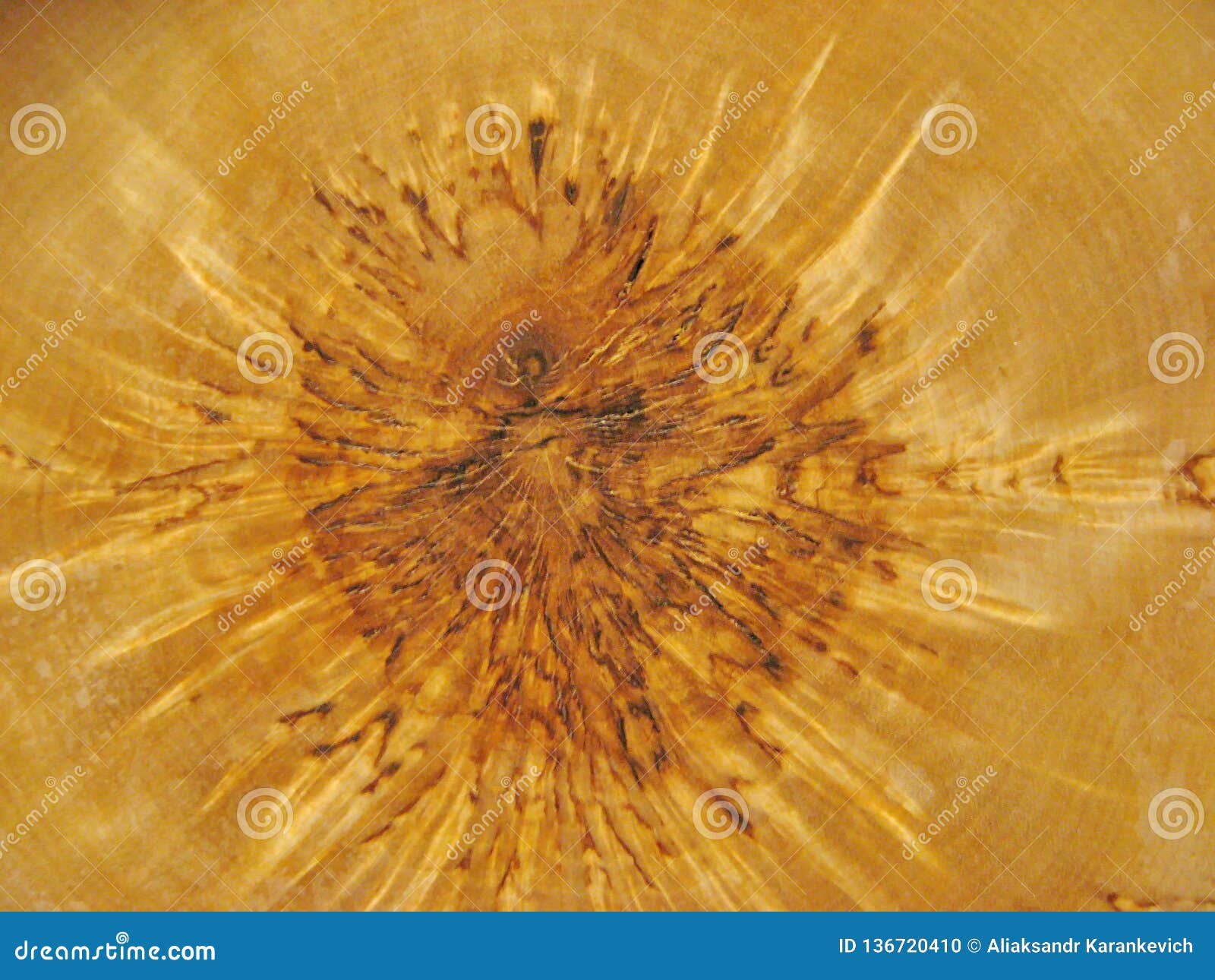 The Structure Of The Trunk Of A Palm Tree Royalty-Free Stock Photo ...