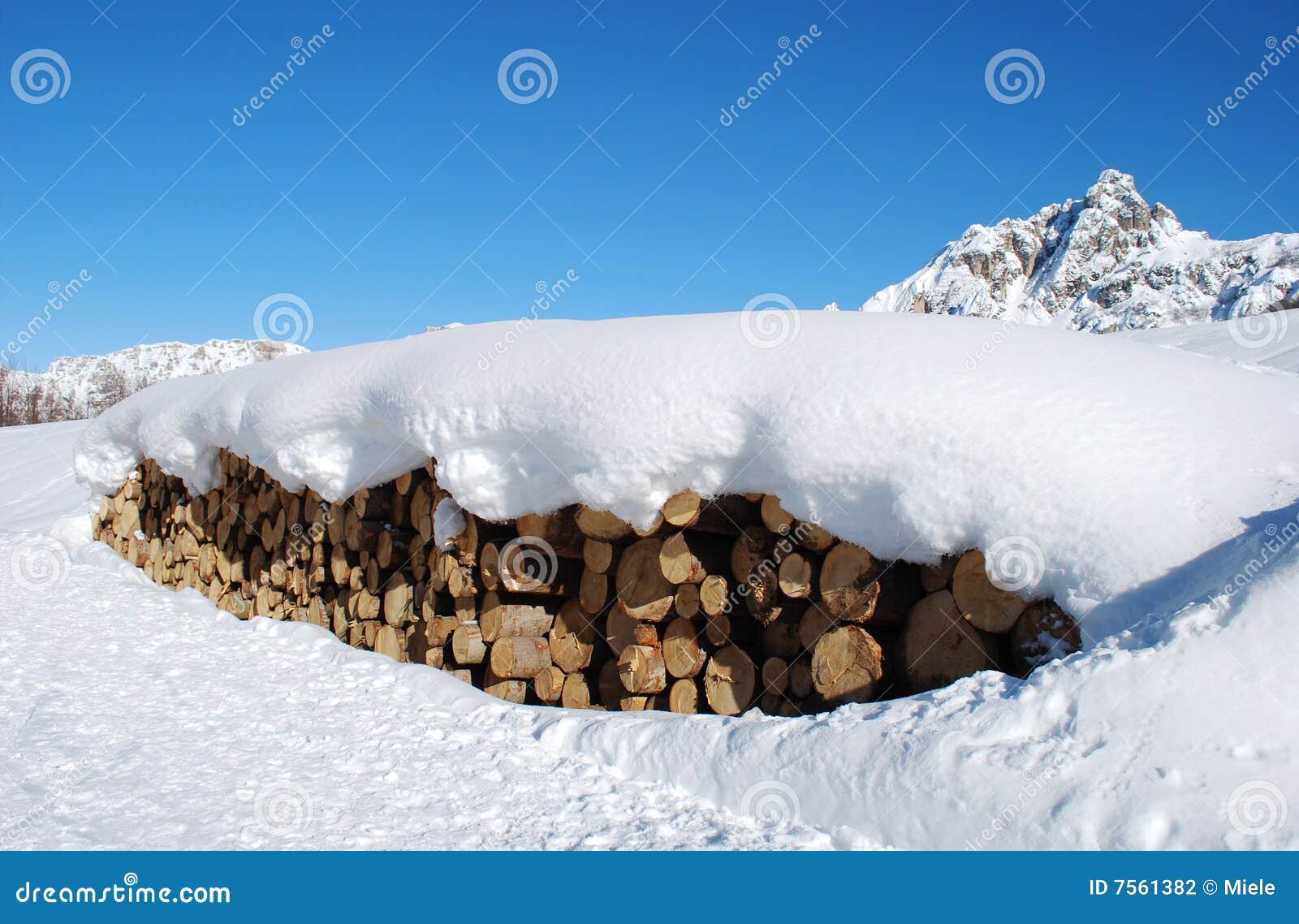Log and snow 2 stock photo. Image of winter, shadow, trees - 7561382