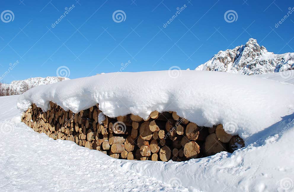 Log and snow 2 stock photo. Image of winter, shadow, trees - 7561382