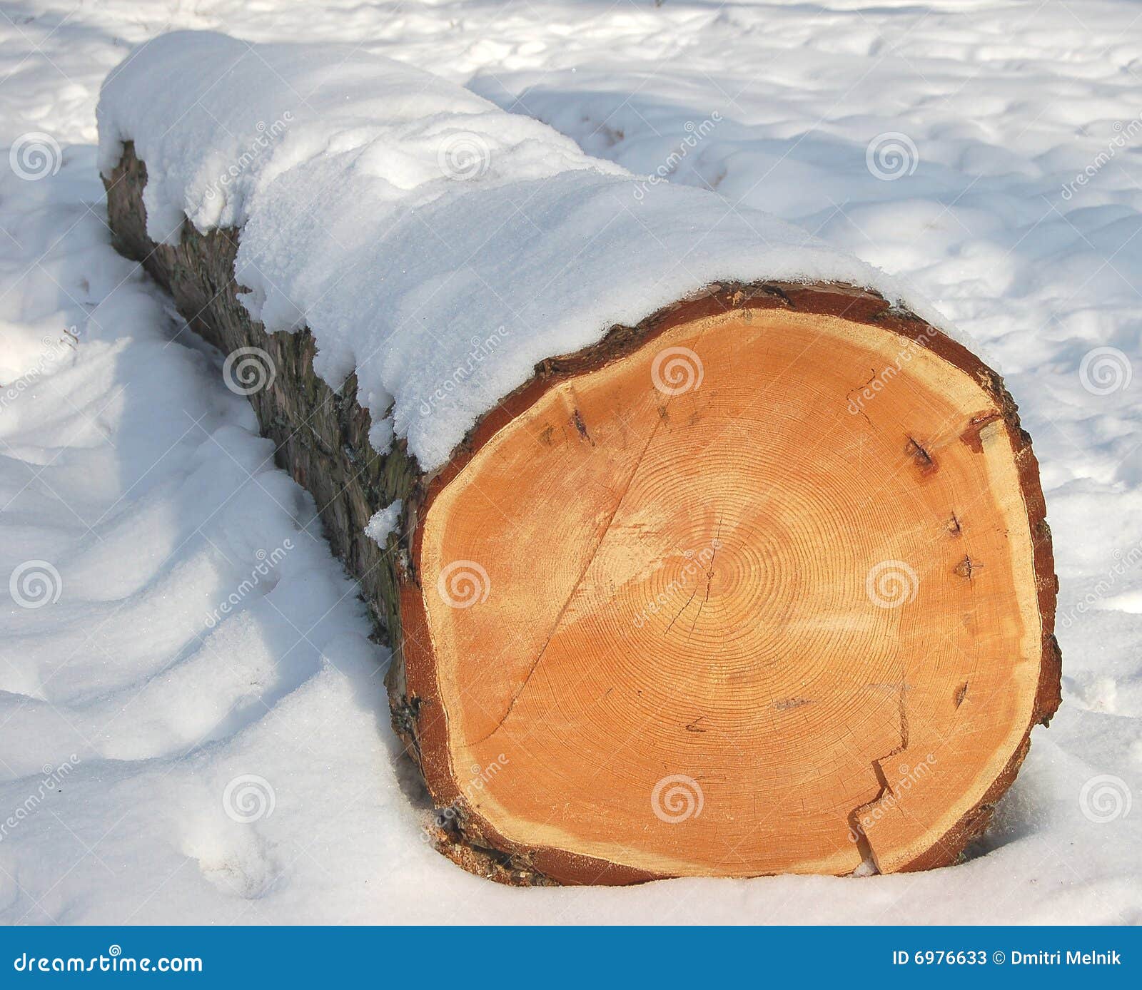 Log on the snow stock image. Image of crust, snow, village - 6976633