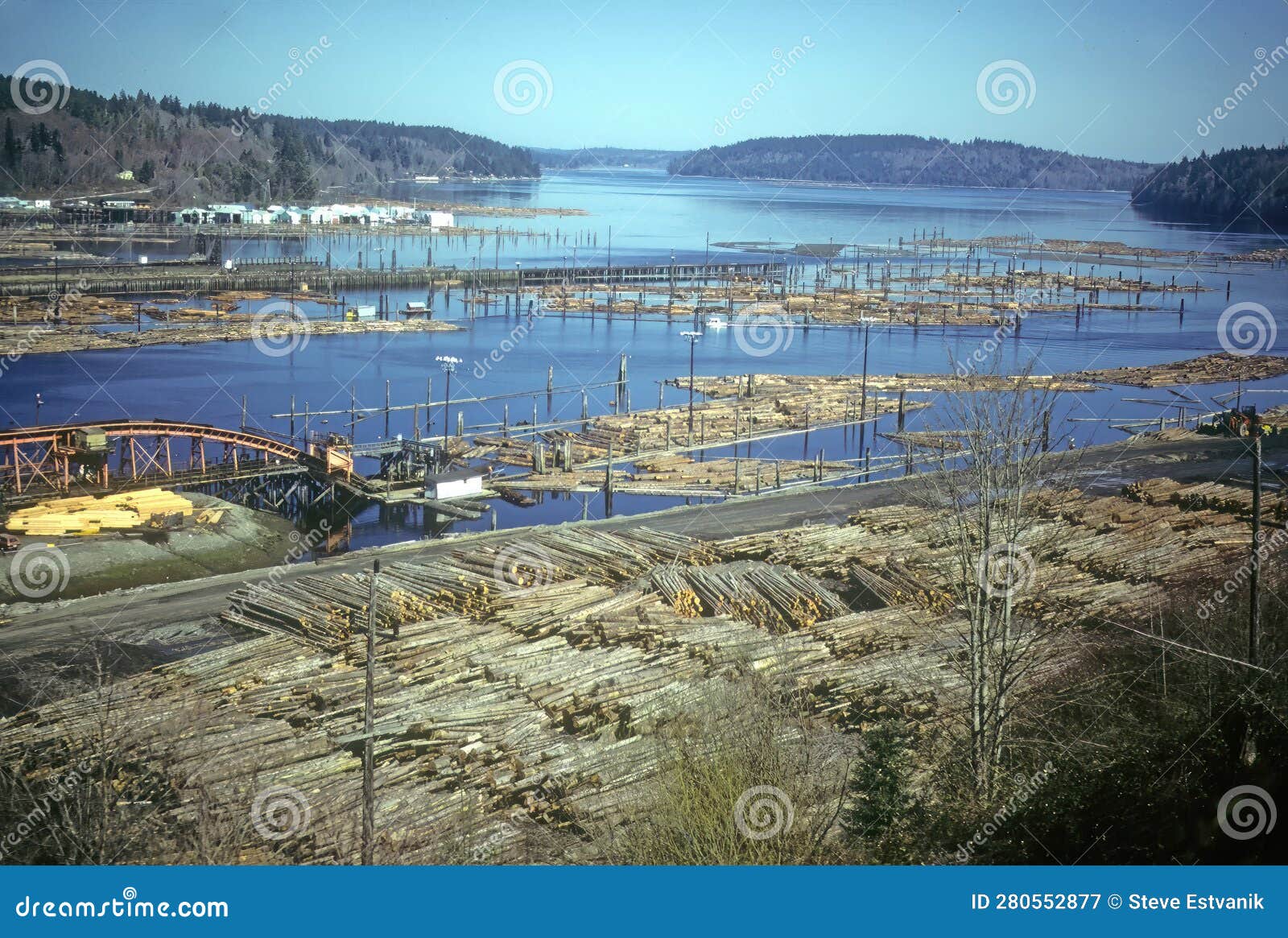 Log sorting pond stock image. Image of transport, water - 280552877