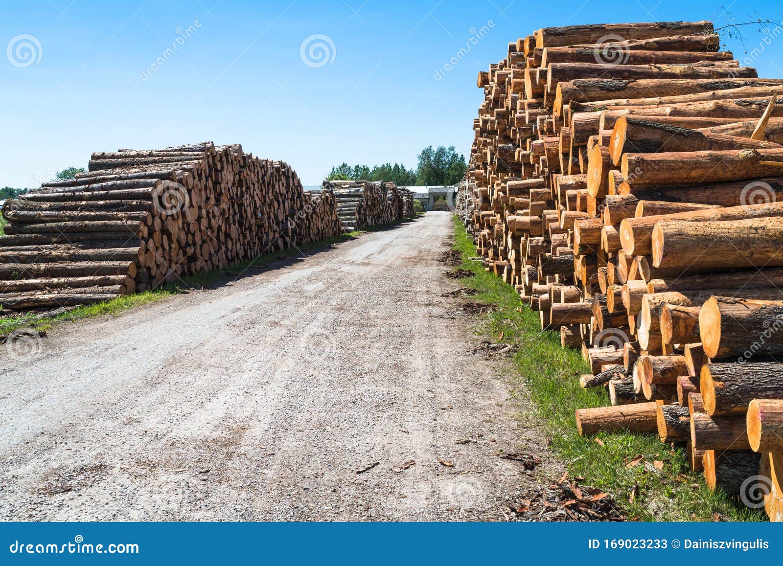 Sawlogs Stack on Both Sides of the Road Stock Image - Image of forest ...