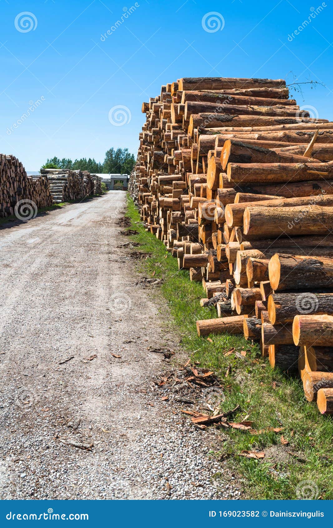Sawlogs Stack on Both Sides of the Road Stock Photo - Image of packing ...