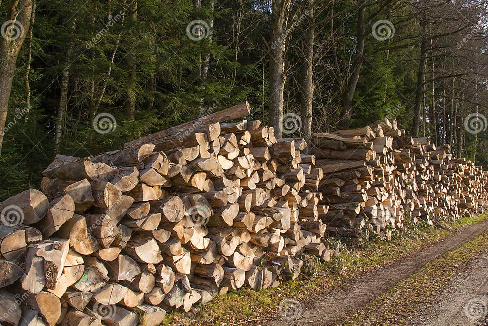 Log Stacks stock image. Image of green, circle, landscape - 48201909