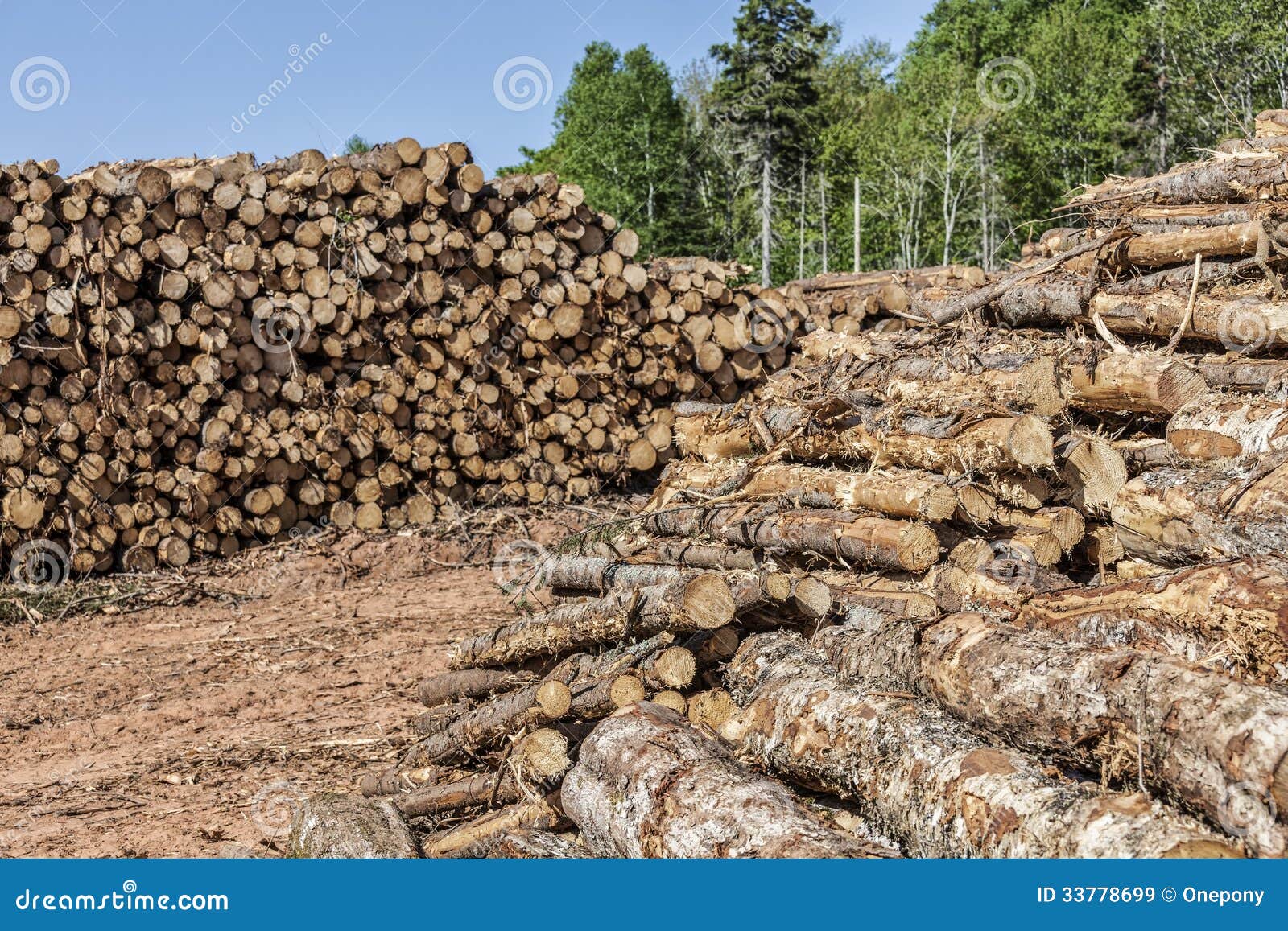 Log Stacks stock image. Image of products, material, nature - 33778699