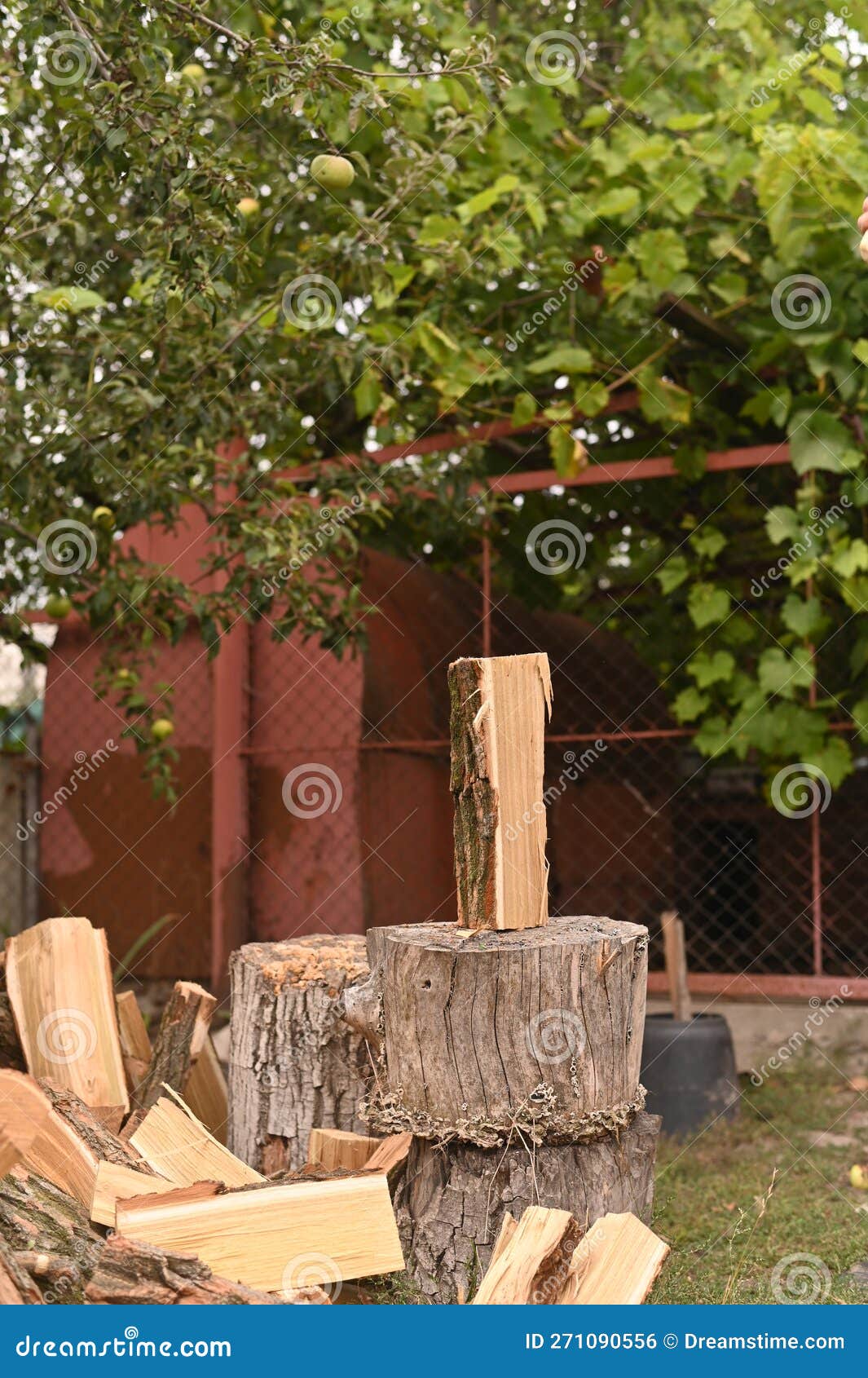 Log stands on a stump. stock photo. Image of splitting - 271090556