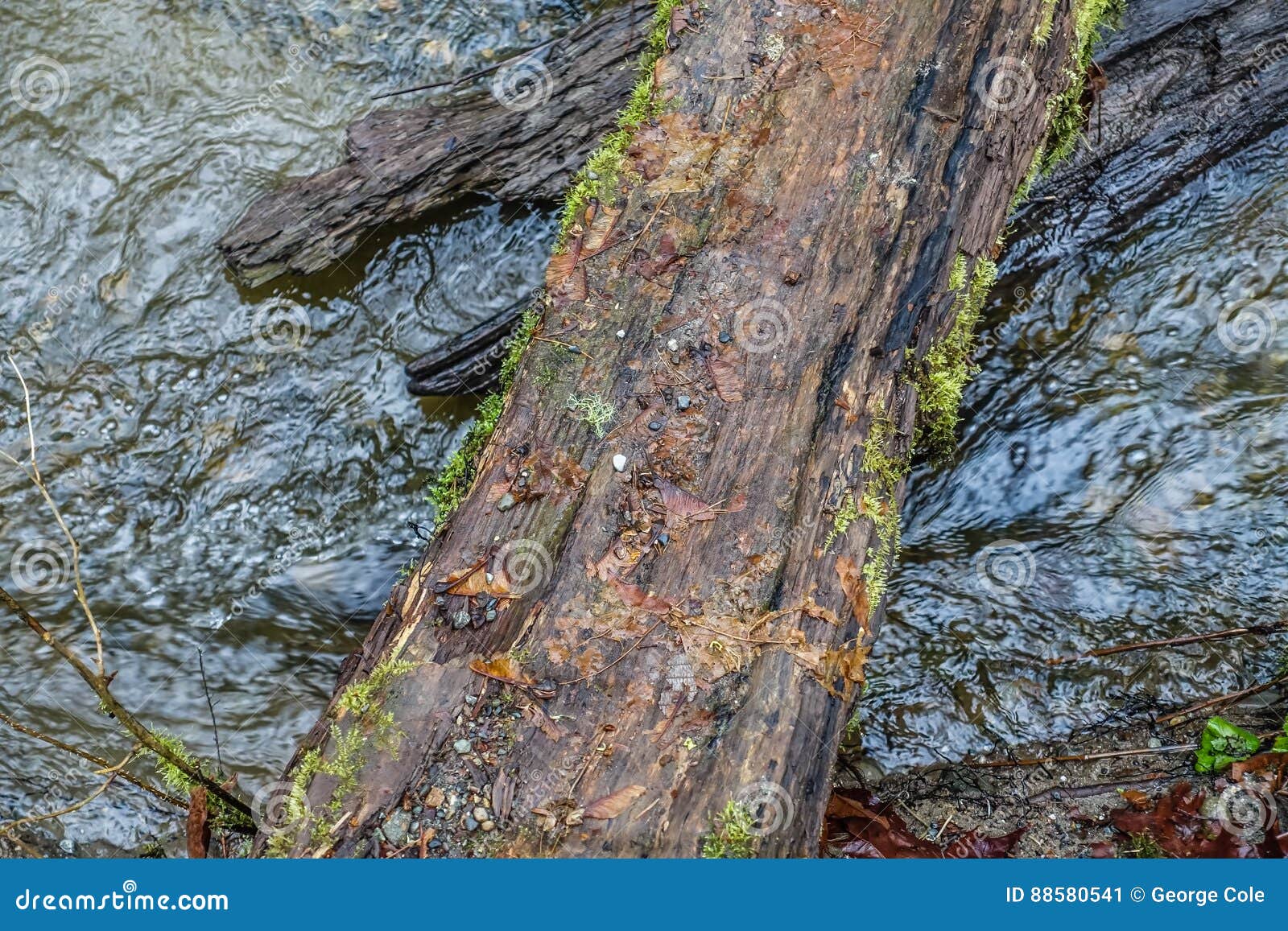 Log and Stream Macro 2 stock image. Image of dash, point - 88580541