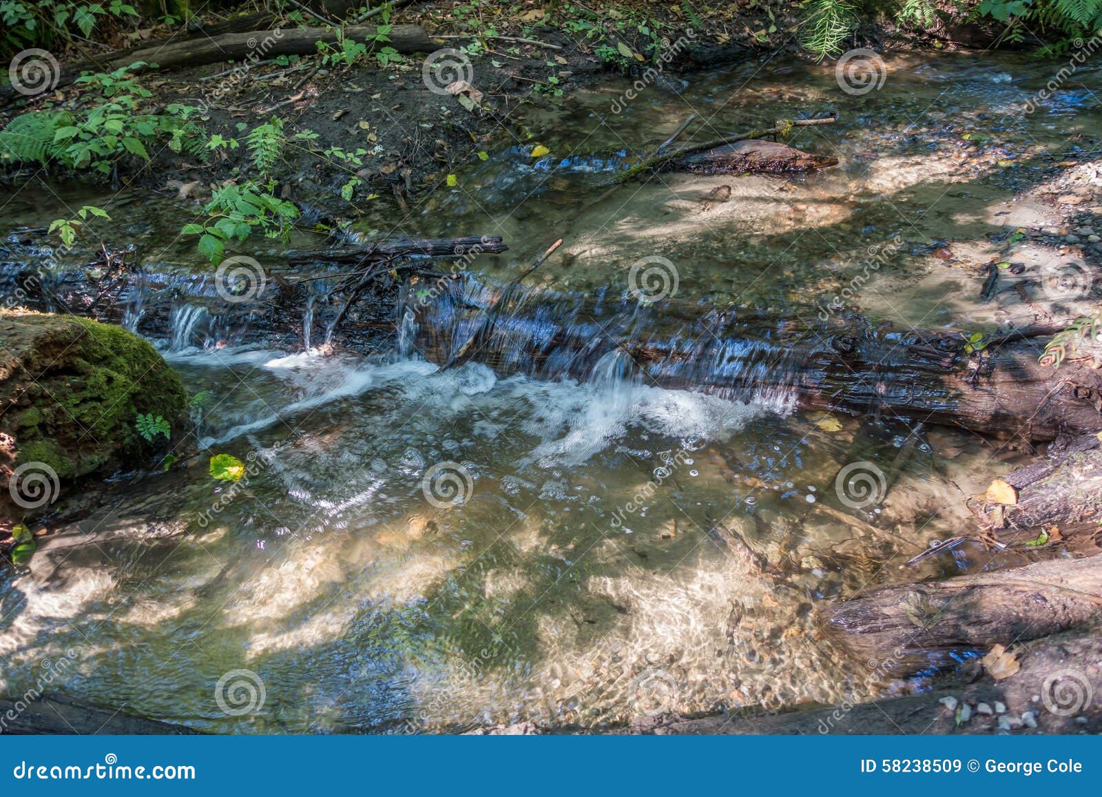 Log in Stream stock image. Image of washington, white - 58238509
