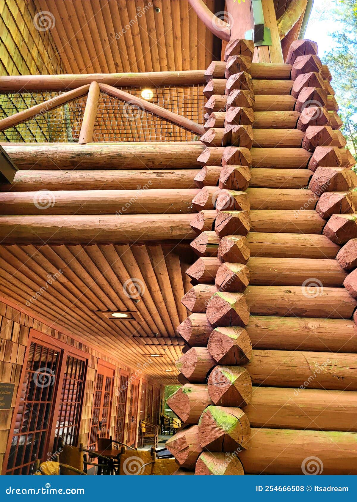 Log Structure in Memphis Zoo Stock Photo - Image of wall, flooring ...
