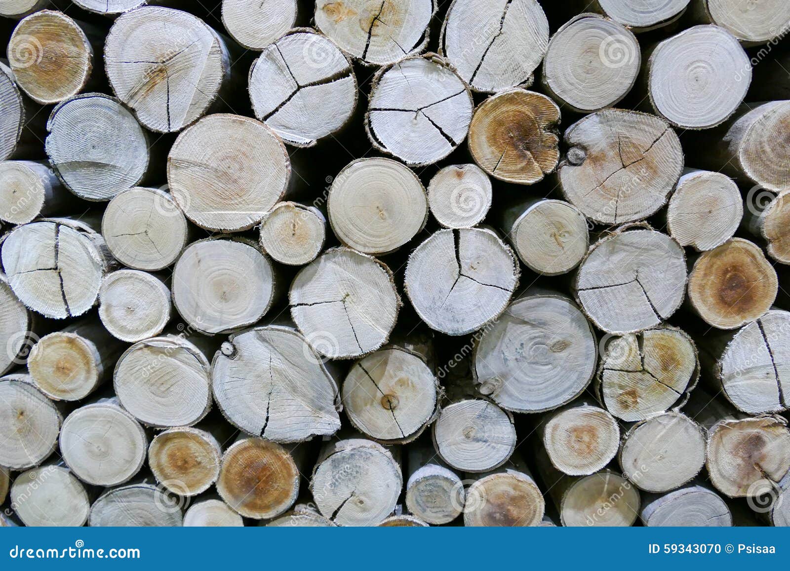 Log Surface for Background Texture Stock Photo - Image of round, tree ...