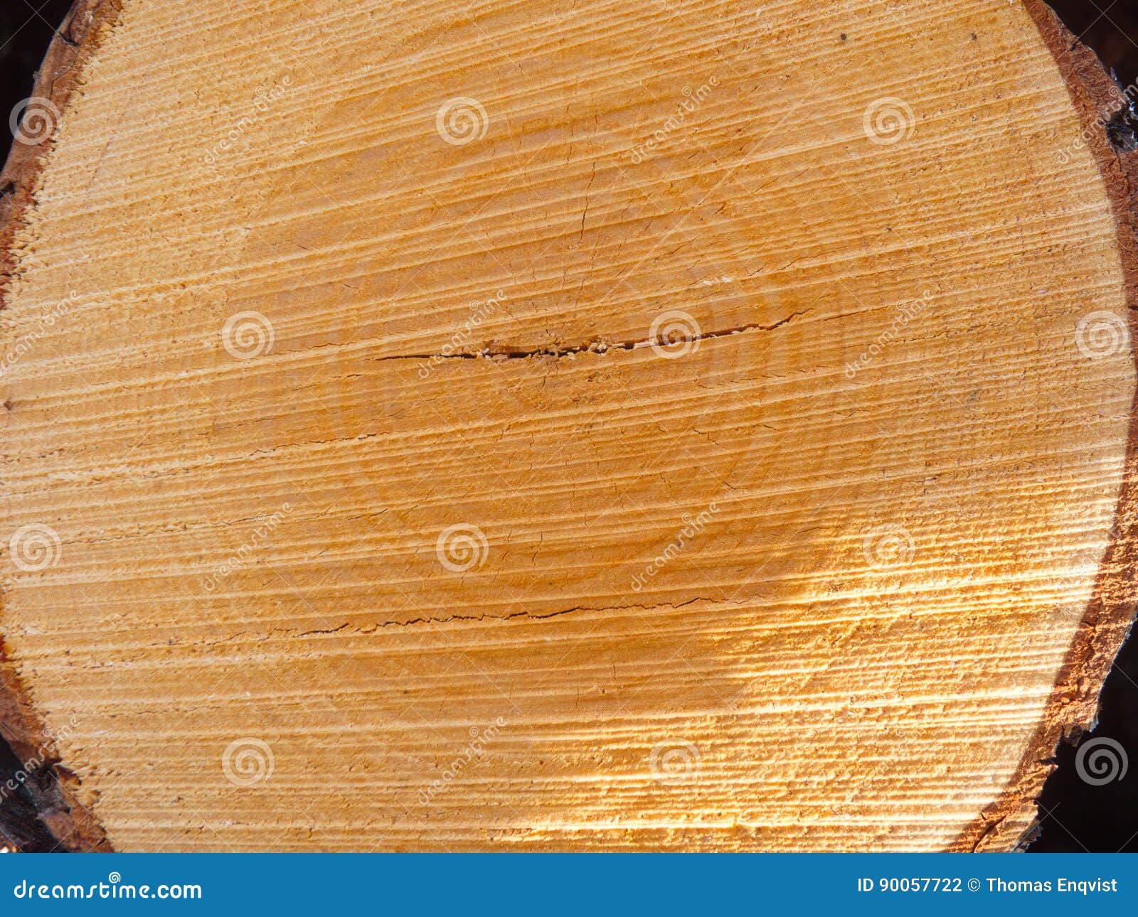 Log stock photo. Image of branch, forest, natural, wood - 90057722