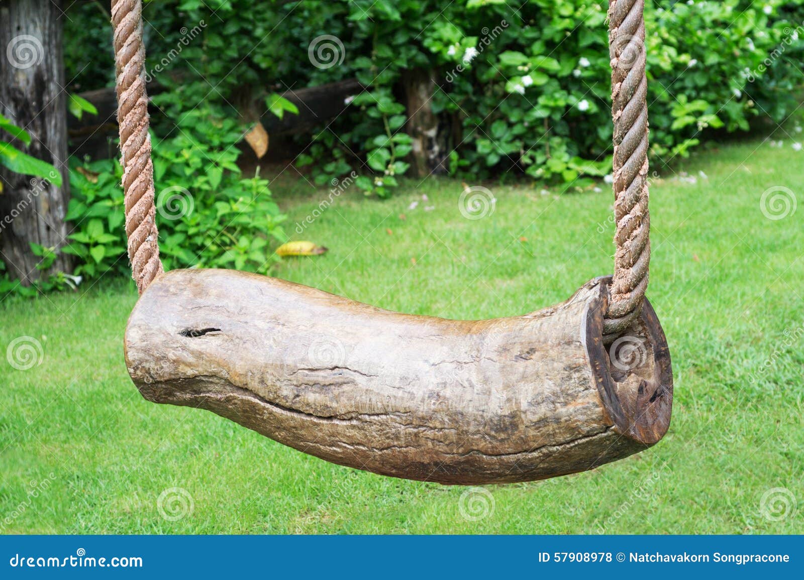 Log swing stock photo. Image of park, tree, play, swing - 57908978