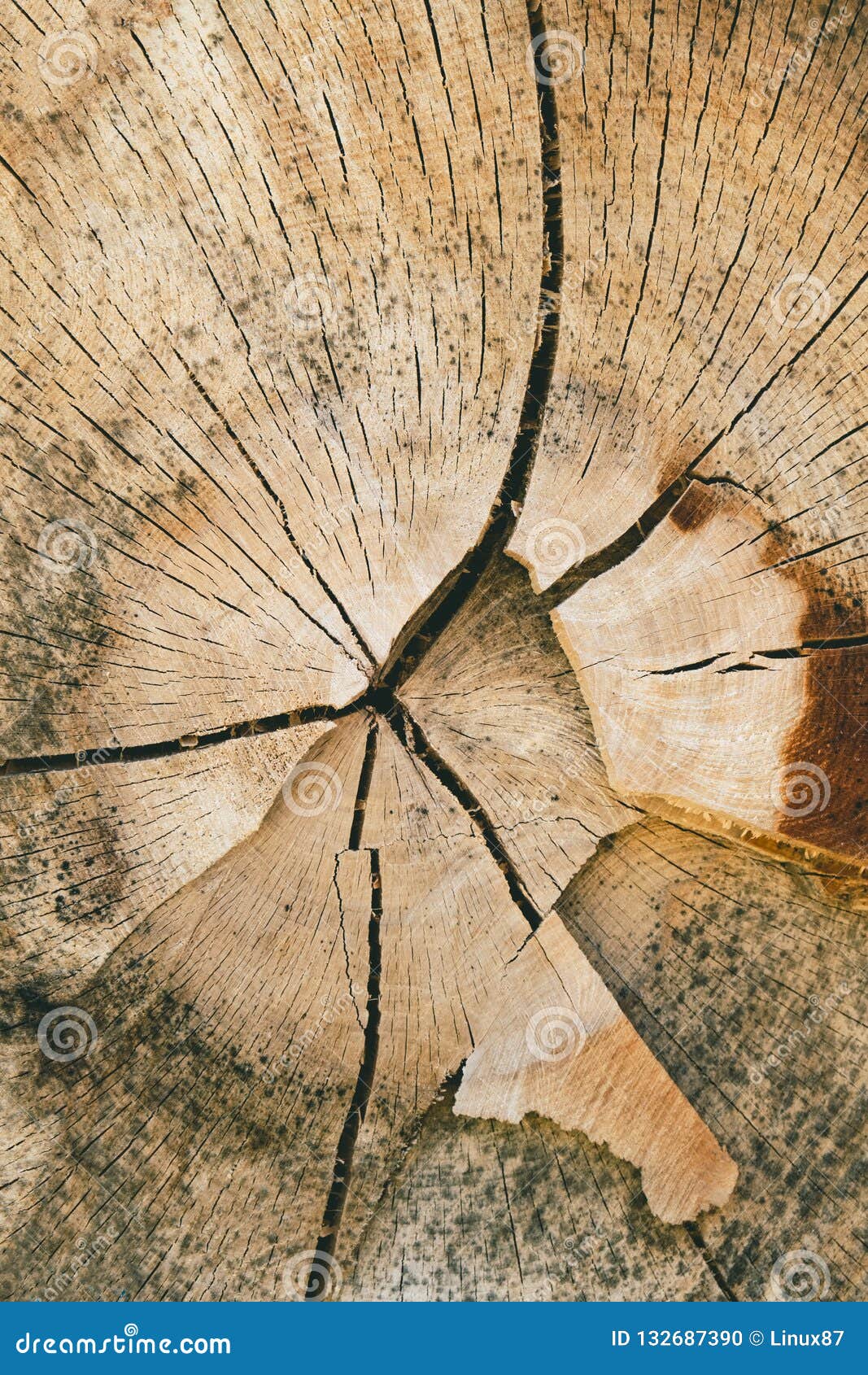 Log Texture Images - Download 61,259 Royalty Free Photos - Page 2