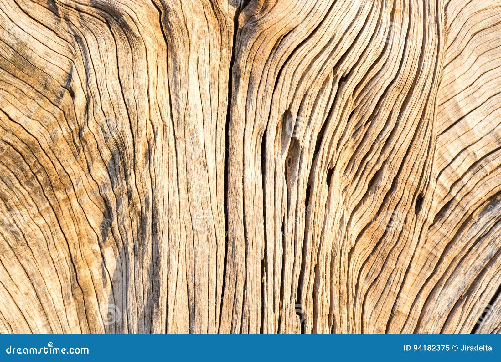 Log texture stock image. Image of pattern, background - 94182375