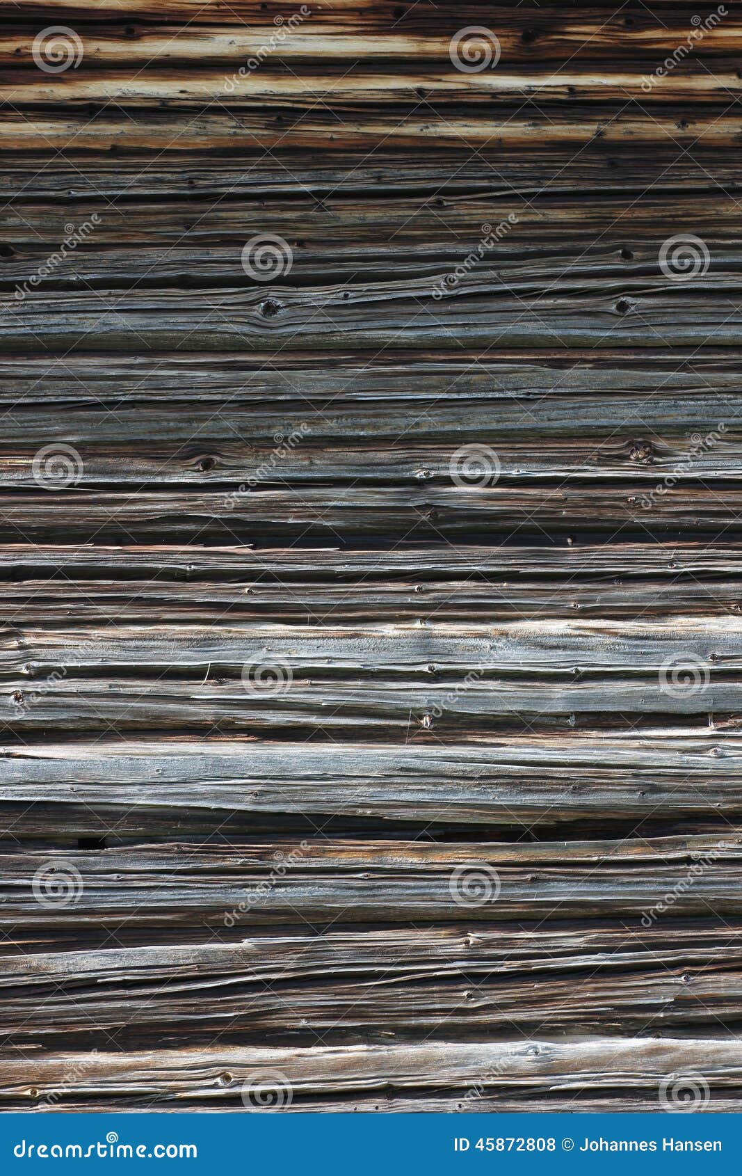 Log Texture stock photo. Image of gray, timber, architecture - 45872808
