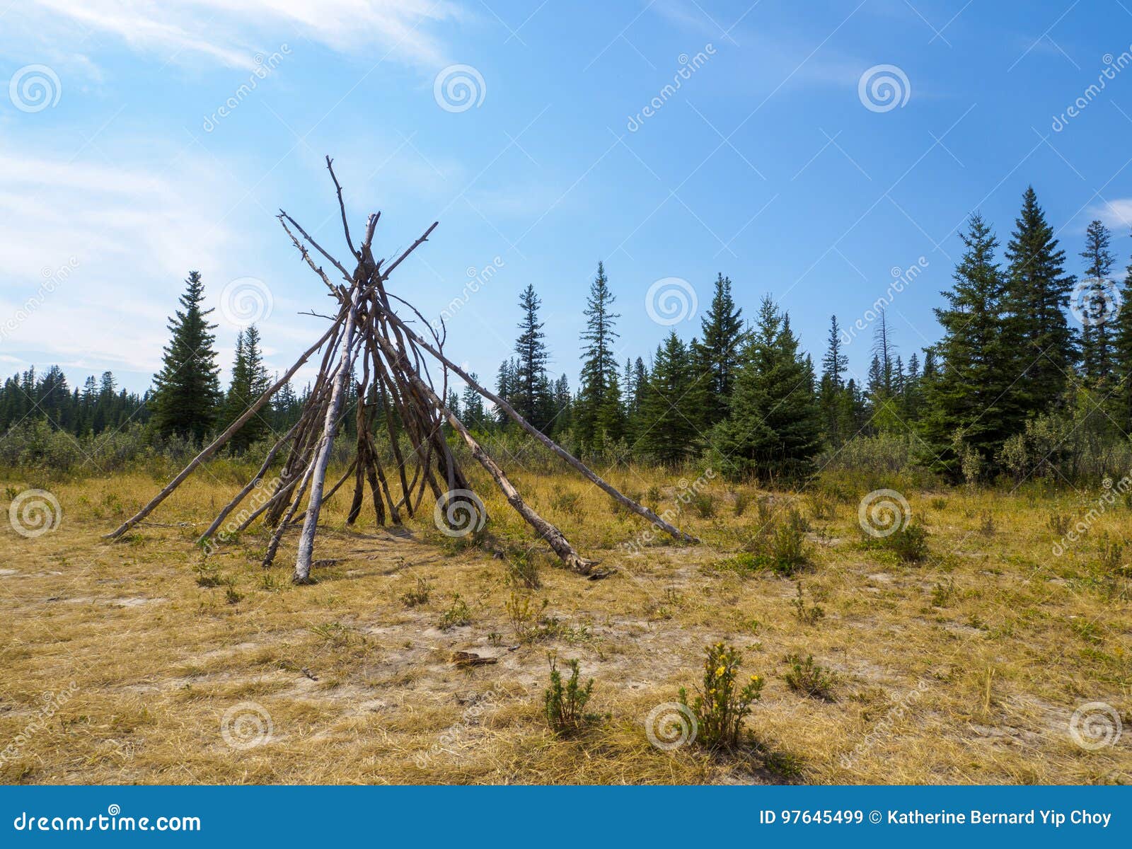 Log Tipi Structure on a Cleared Out Patch of Grass in Nature Stock ...