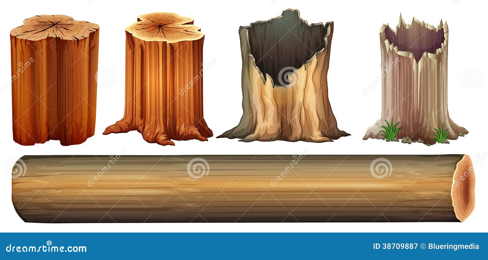 Log Roots Stock Illustrations – 494 Log Roots Stock Illustrations ...