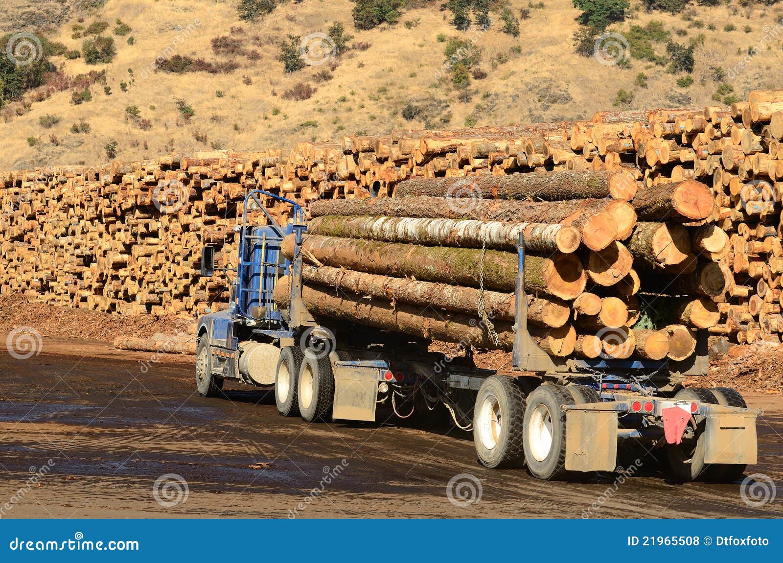 Log Truck stock photo. Image of forestry, yard, mover - 21965508