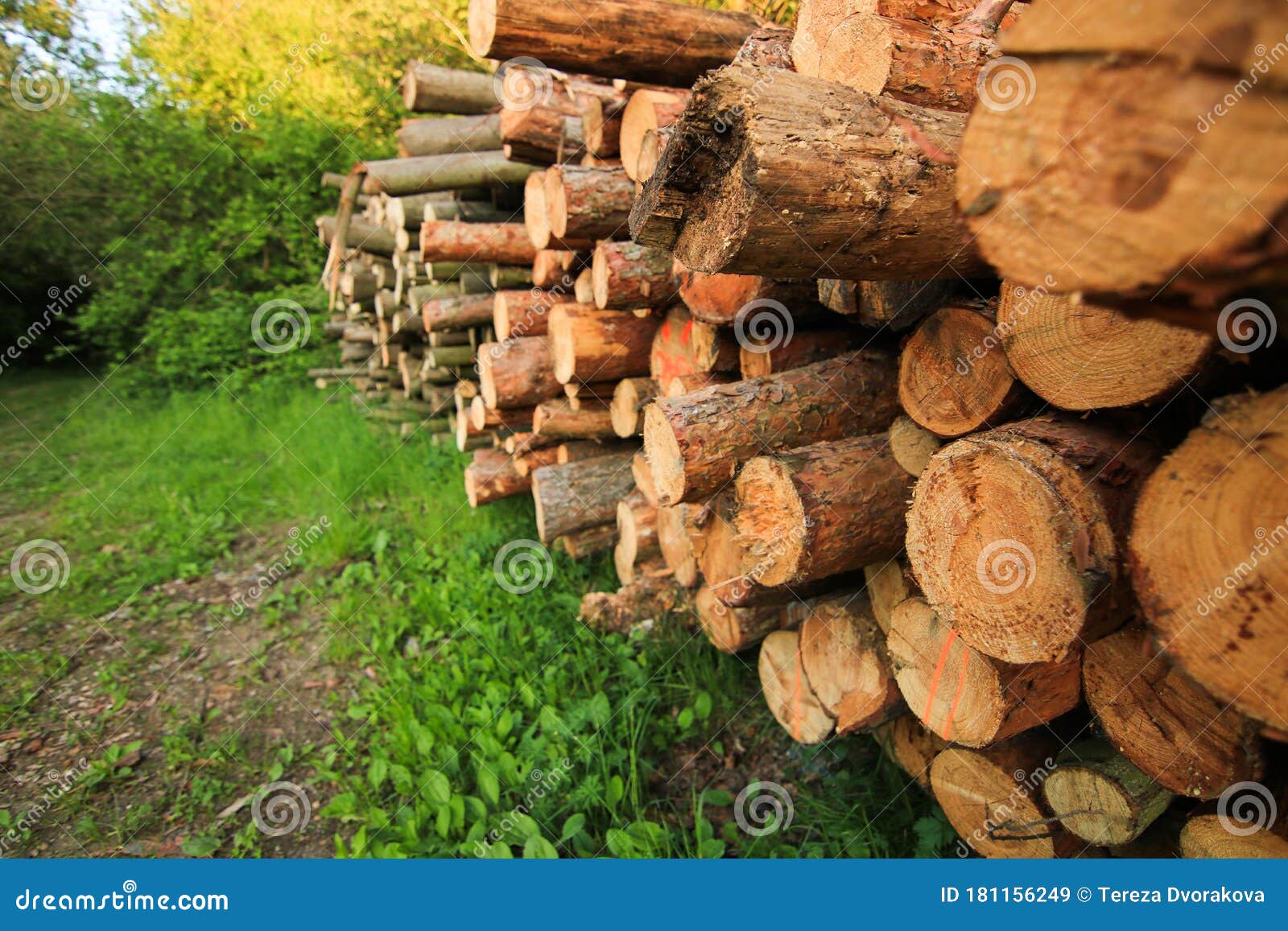 Log Trunks Pile, the Logging Timber Wood Industry Stock Image - Image ...