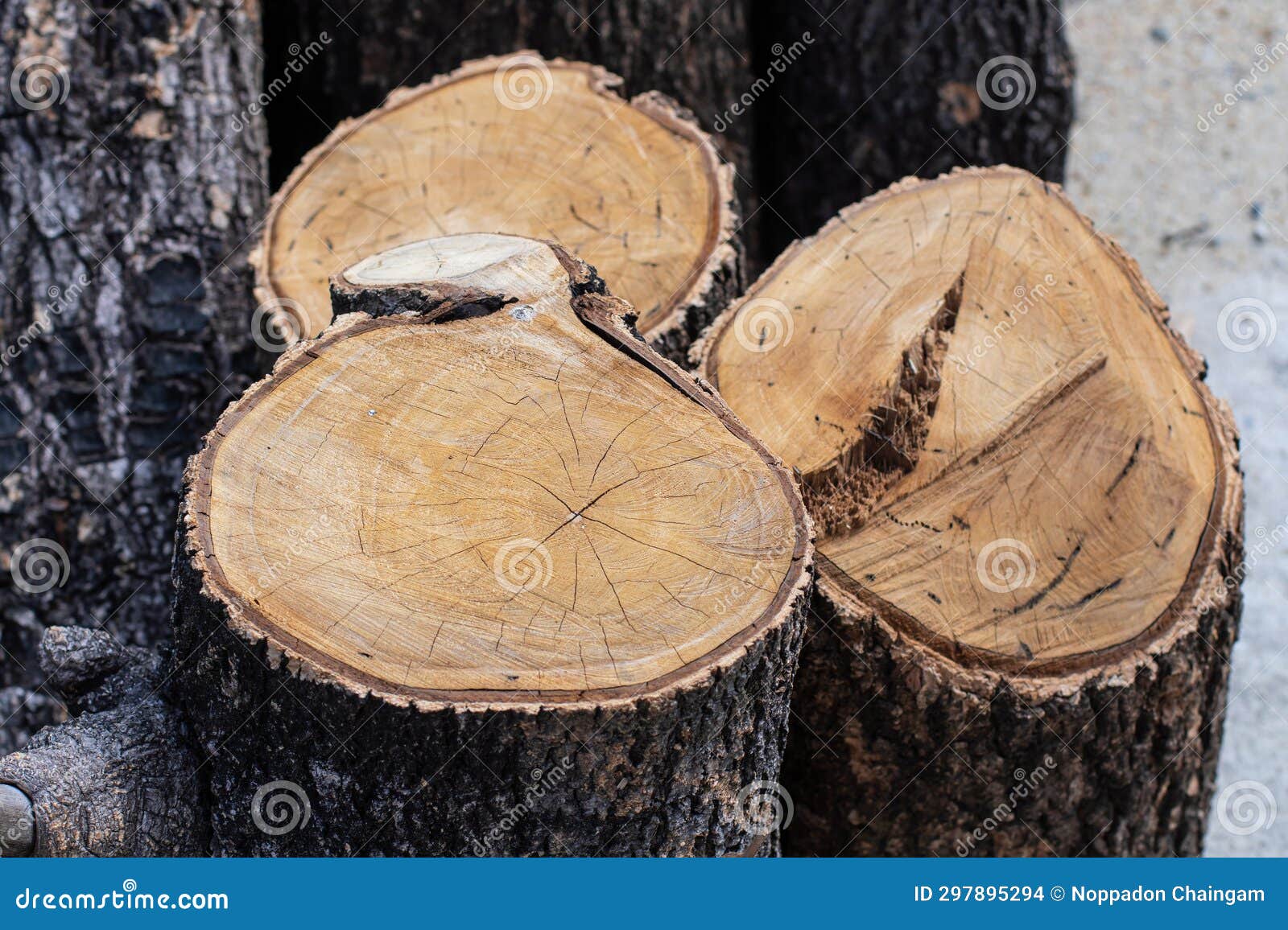 Log Trunks Pile, the Logging Timber Wood Industry. Stock Photo - Image ...