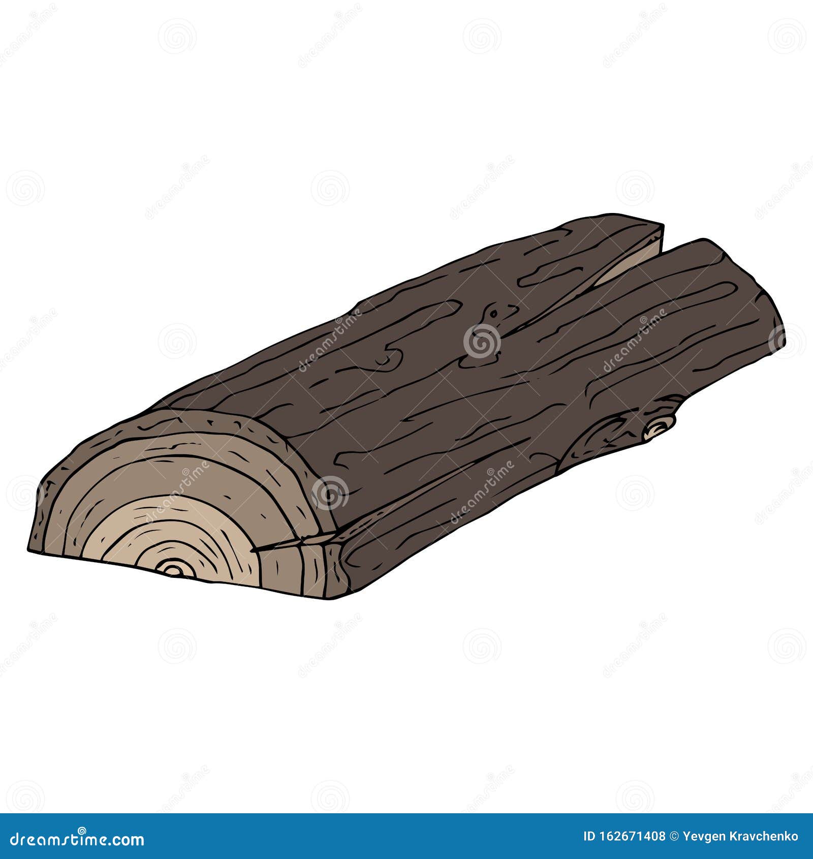 Log. Vector of a Log Texture. Hand Drawn Log Stock Illustration ...