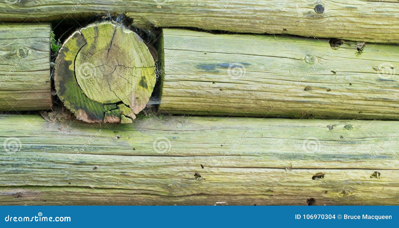Log Wall Background stock photo. Image of wood, knotty - 106970304