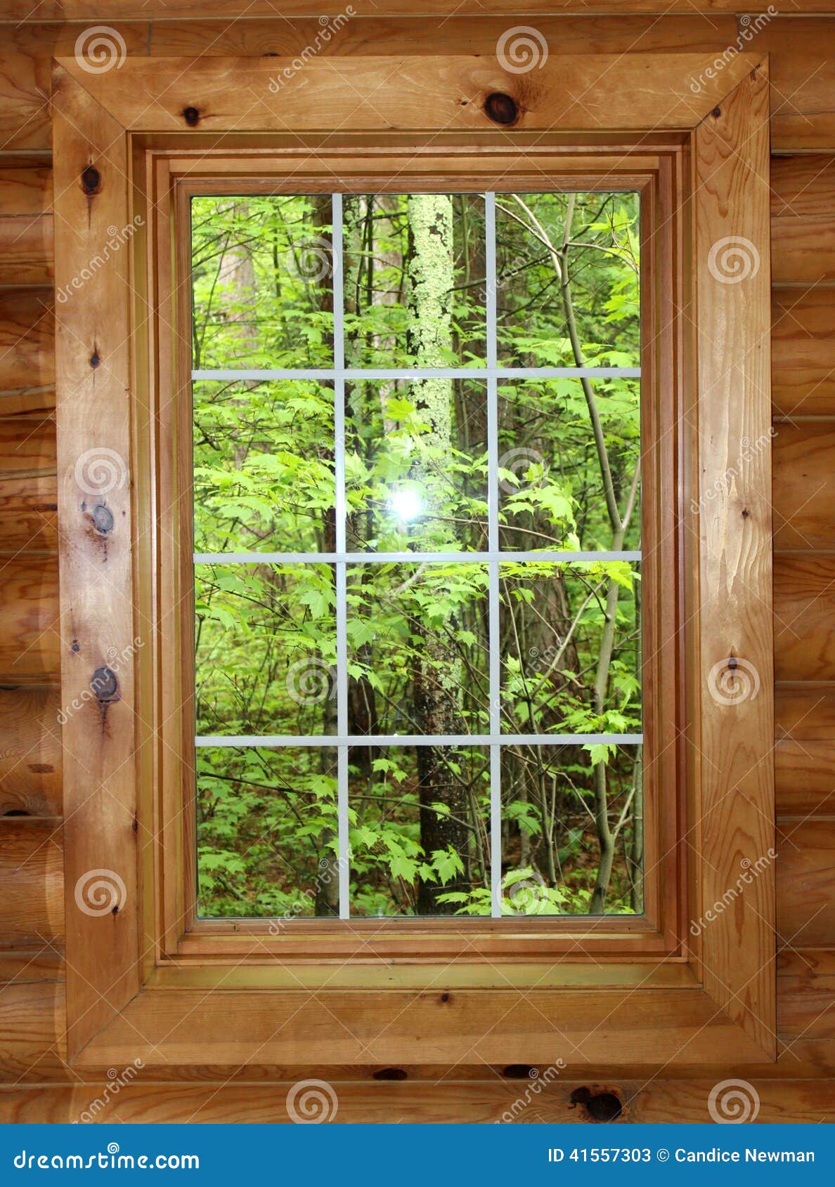 Log Wall Pane Window stock image. Image of upper, woods - 41557303
