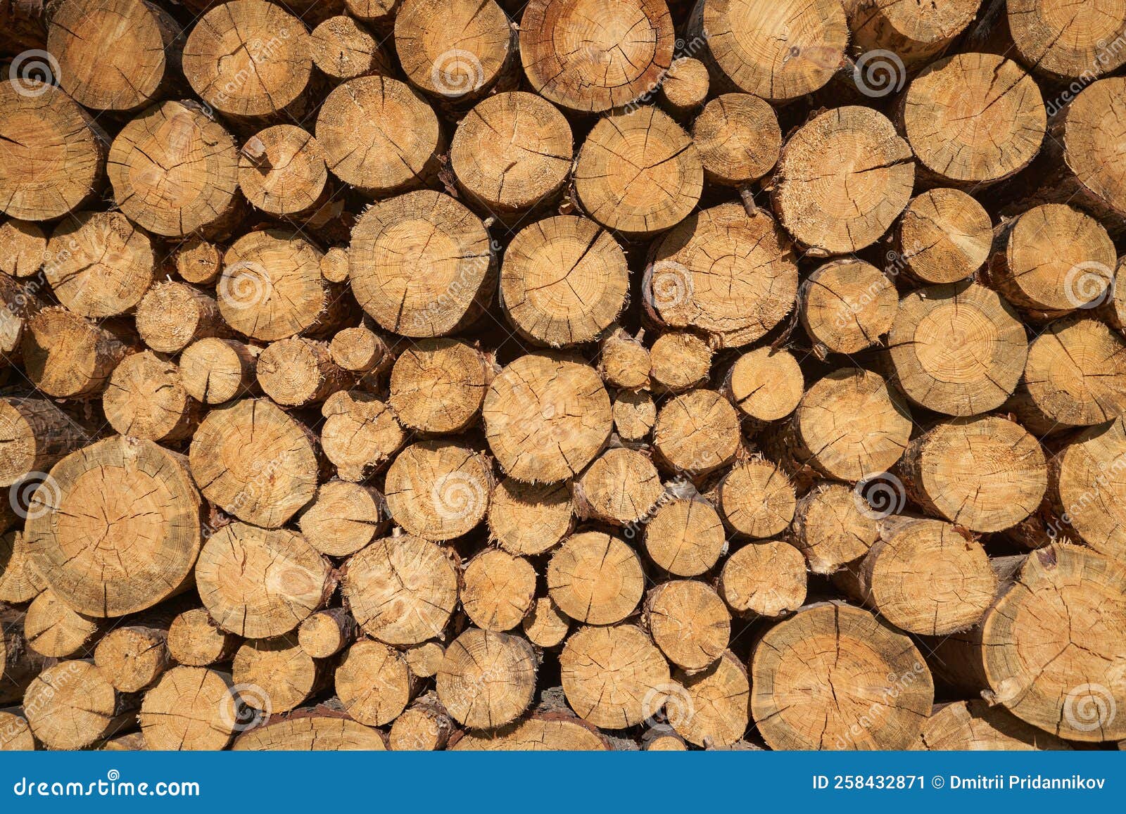 Log Wall Texture Full Frame Stock Image - Image of wooden, wall: 258432871