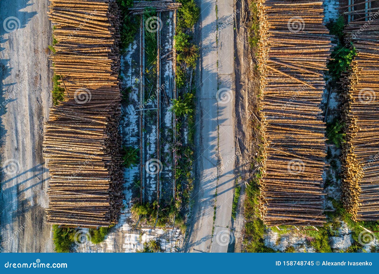 Log Warehouse in the Open Air Stock Image - Image of pile, forestry ...