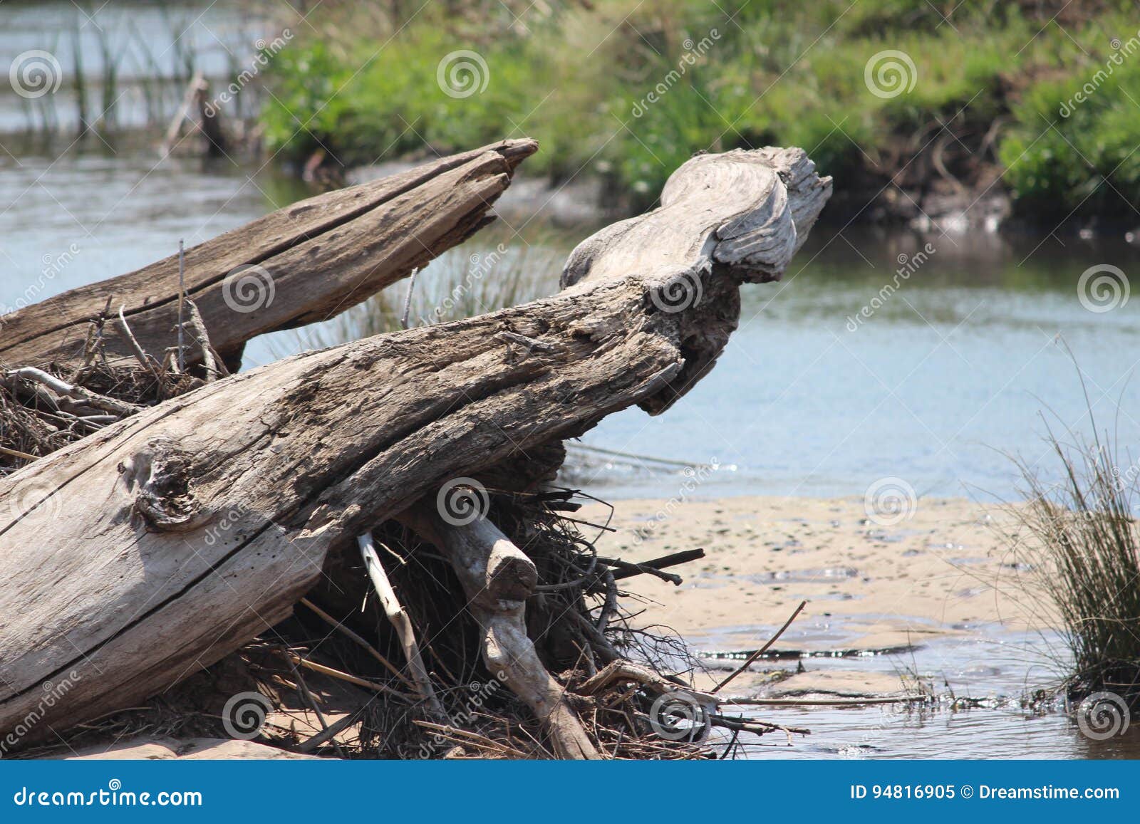 Log in water stock image. Image of beautiful, full, mountain - 94816905