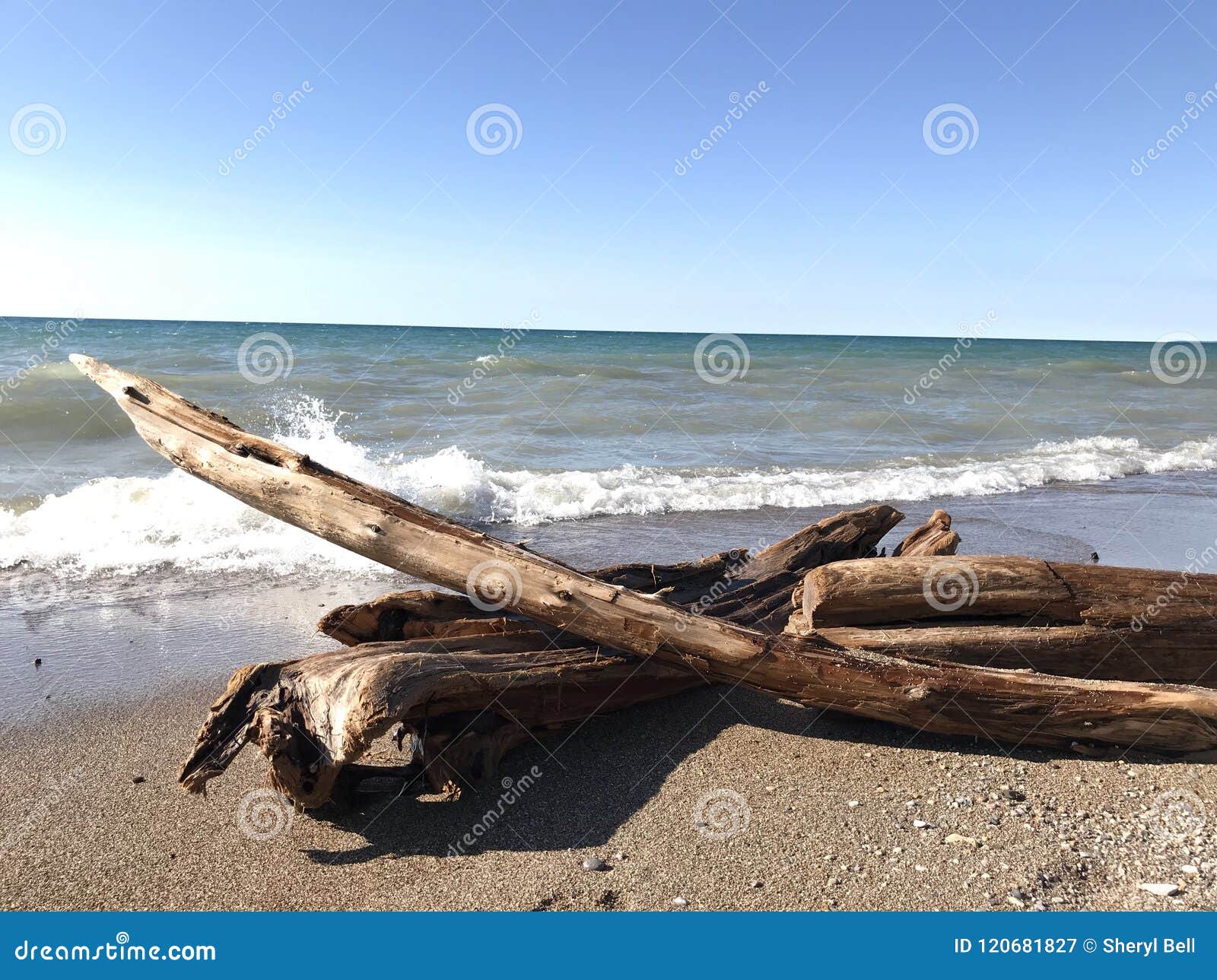 Beach driftwood stock image. Image of fresh, beach, water - 120681827