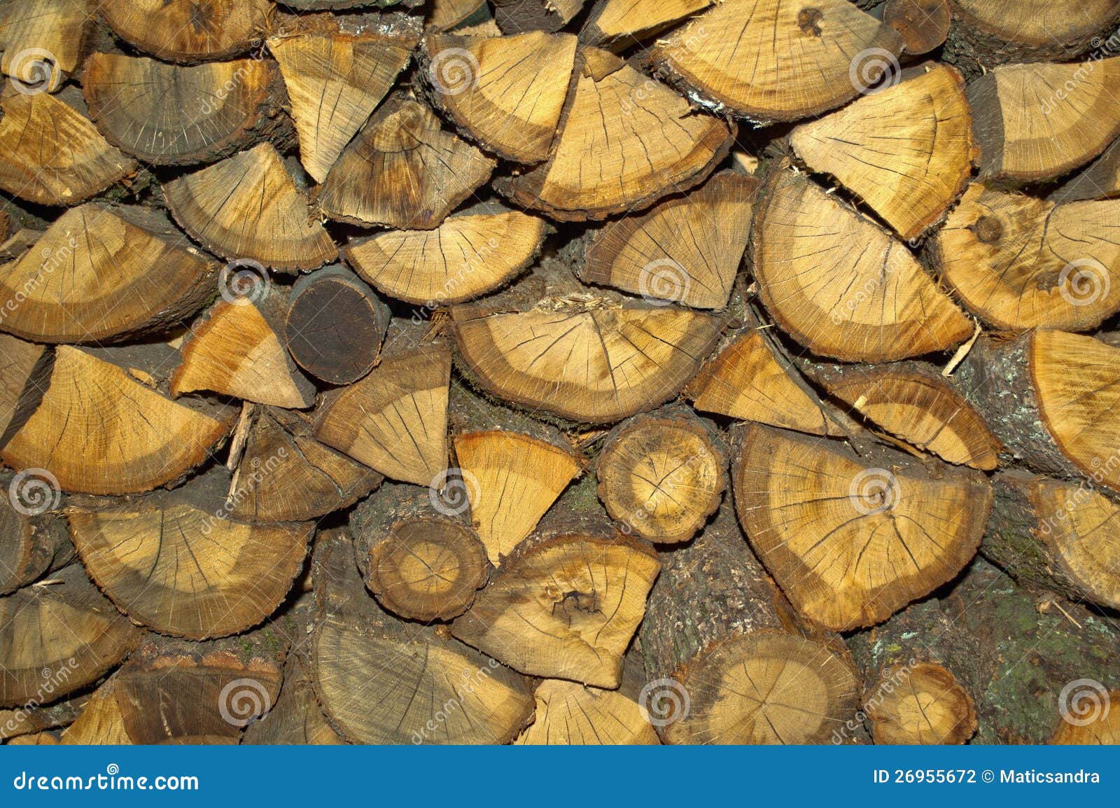 A log of wood stock photo. Image of lumber, fire, fuel - 26955672