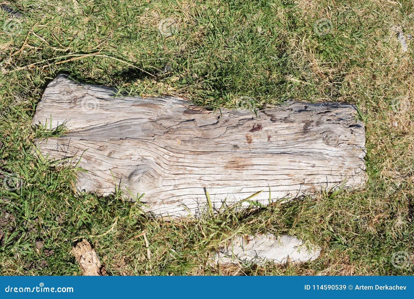 A log of wood on the grass stock image. Image of nature - 114590539