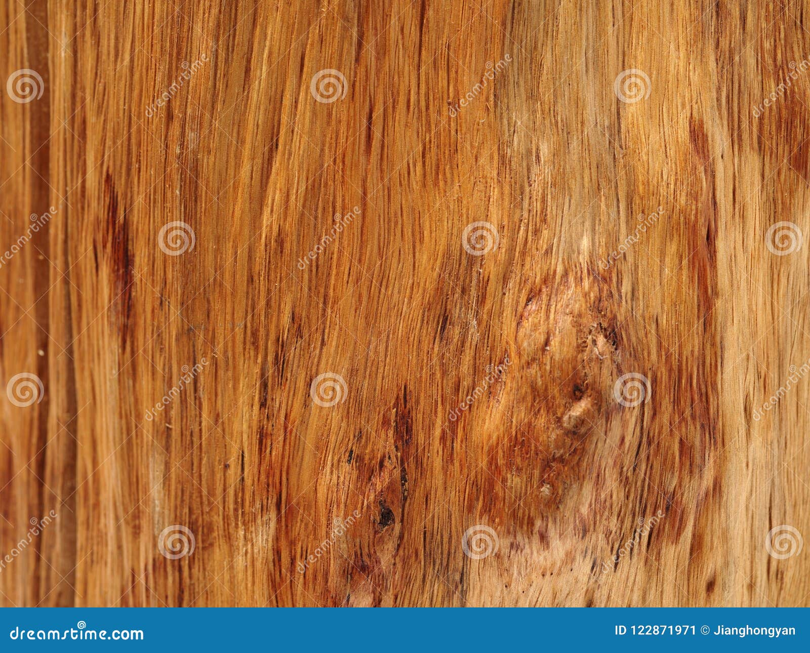 Log Wood isolated texture stock image. Image of close - 122871971