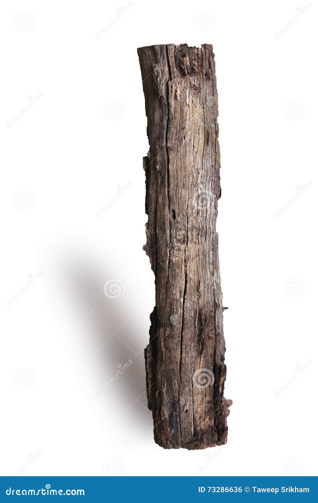 à¸´log Wood Isolated on White Background Stock Photo - Image of ...