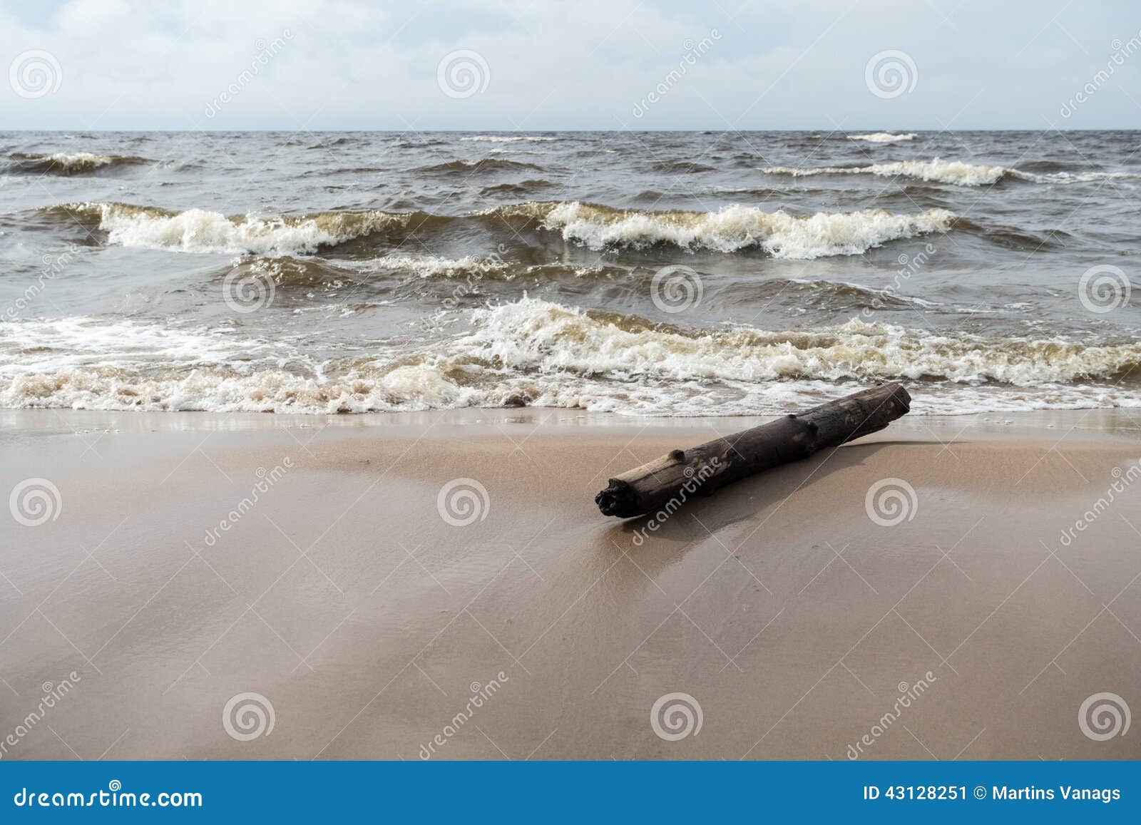 Log of wood in stormy sea stock image. Image of summer - 43128251