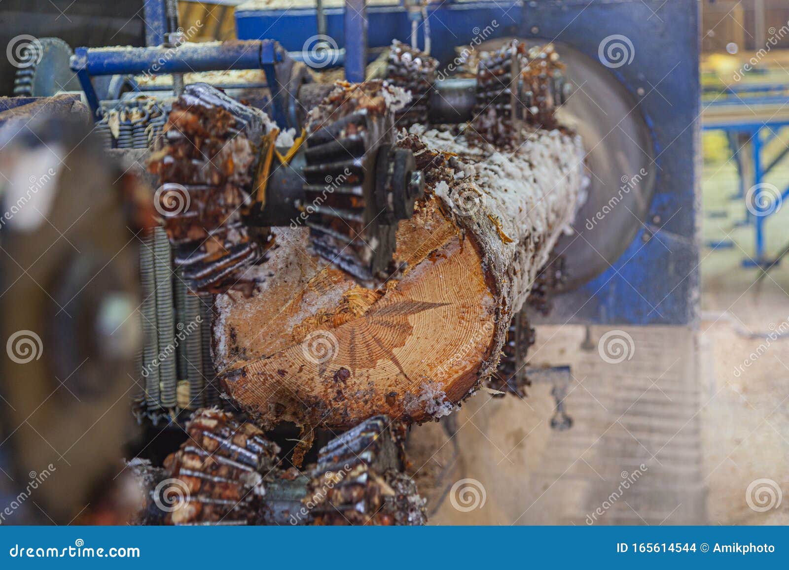 Log in the Woodworking Process Stock Photo - Image of lumber ...
