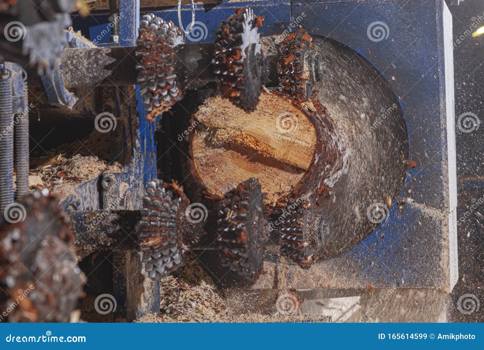 Log in the Woodworking Process Stock Image - Image of lumber ...